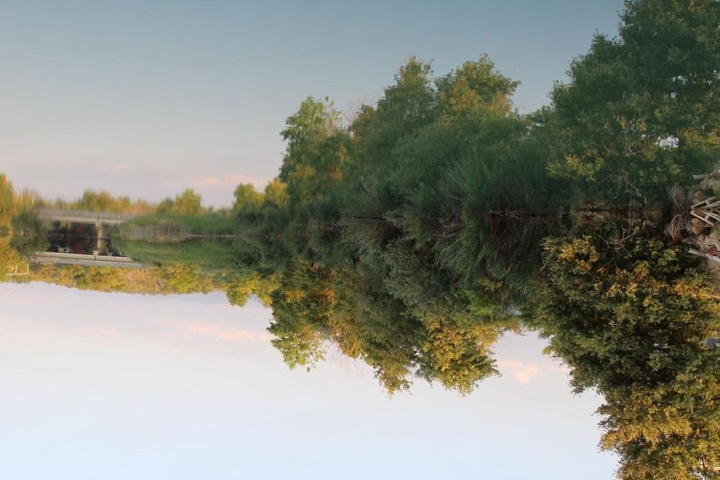 Alarcha Hotels Resorts